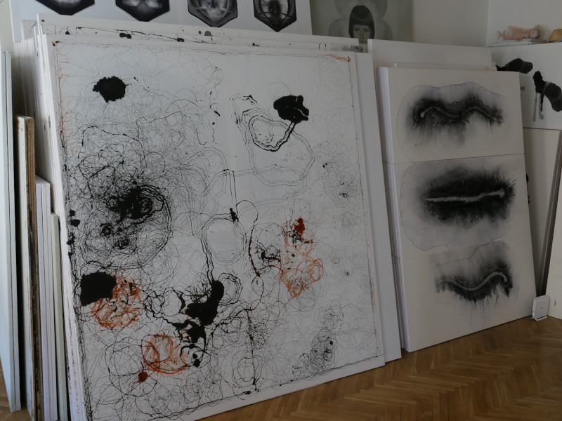 Umělec Petr Nikl | Galerie Magnus Art